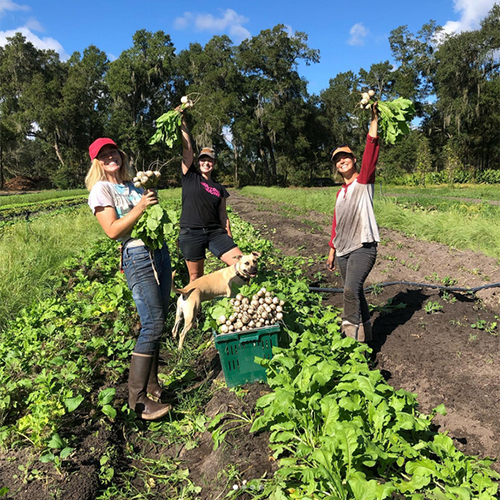 Community Supported Agriculture Program – Worklife